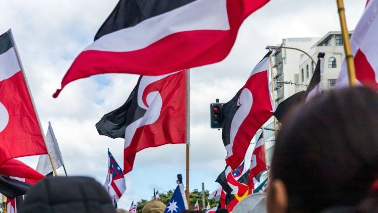 Haka als protest: Inheemse rechten en het Verdrag van Waitangi in Nieuw ...